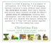 "Is It Time Yet?" 4-Week Advent/ ChristmasCurriculum for Church and Ho ...